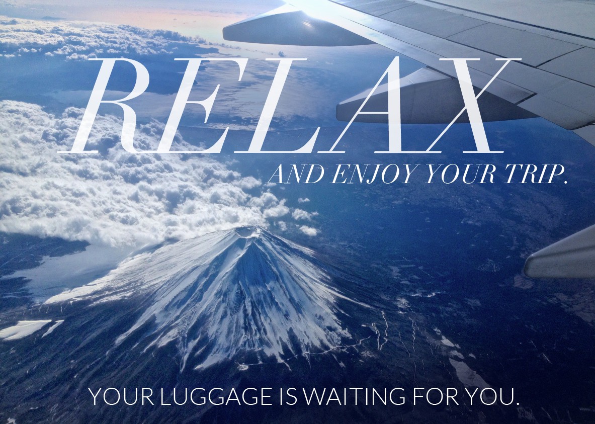 Travel Convenience – The Carltons Series